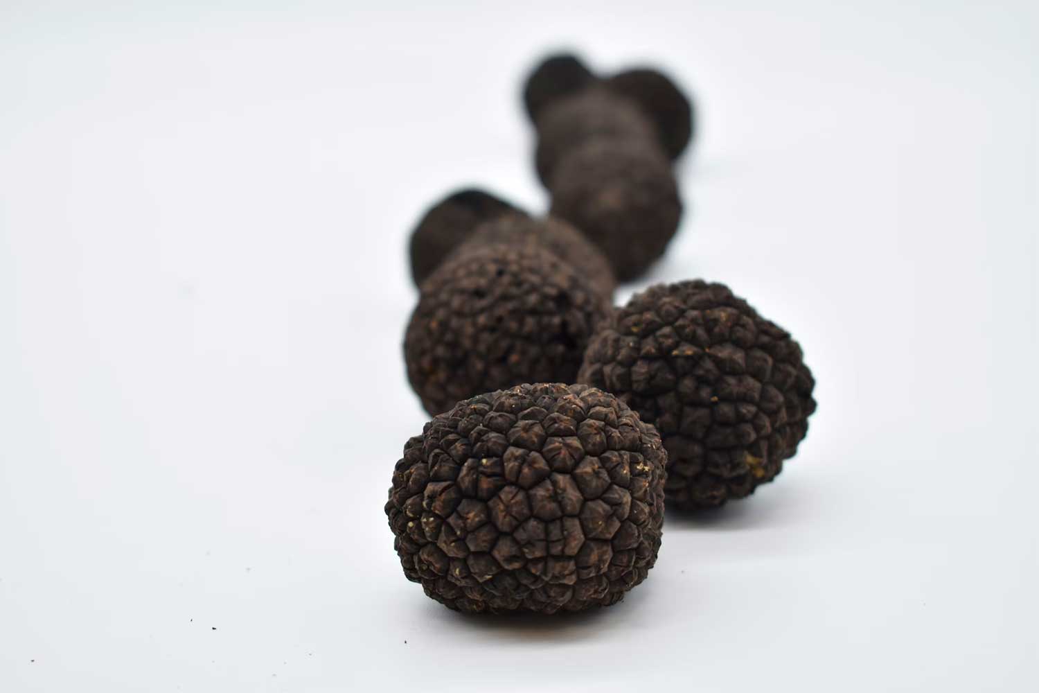 The Allure of French Truffles: Cultures, Cuisine & Tours